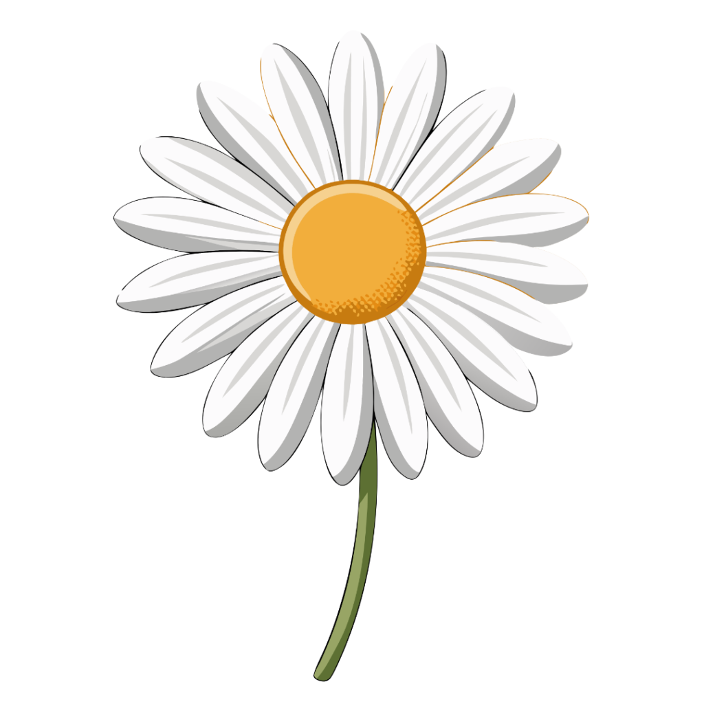 Purple Daisy Flower Clipart | Free Png, Svg, Vector