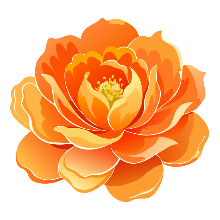 Cartoon Orange Flower | Free Png, Svg, Vector