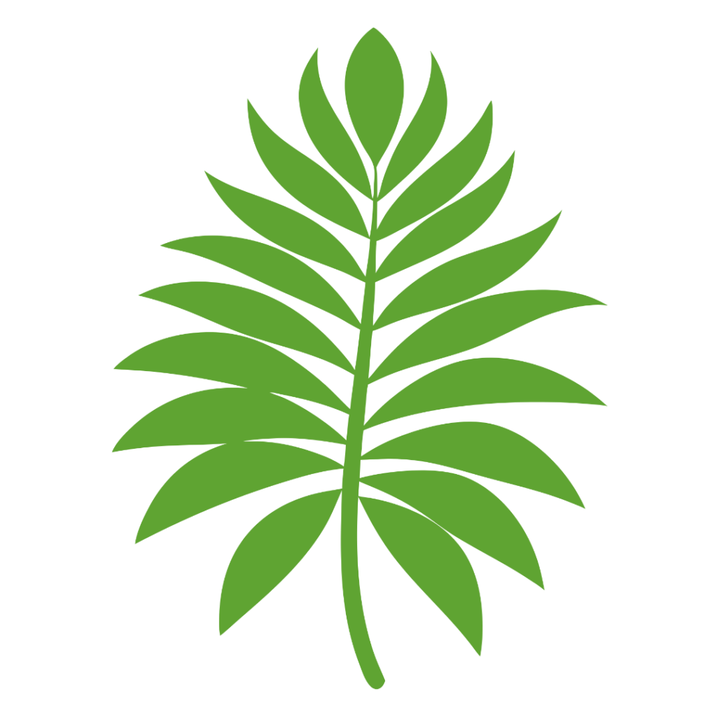 Tropical Leaves Clipart | Free Png, Svg, Vector