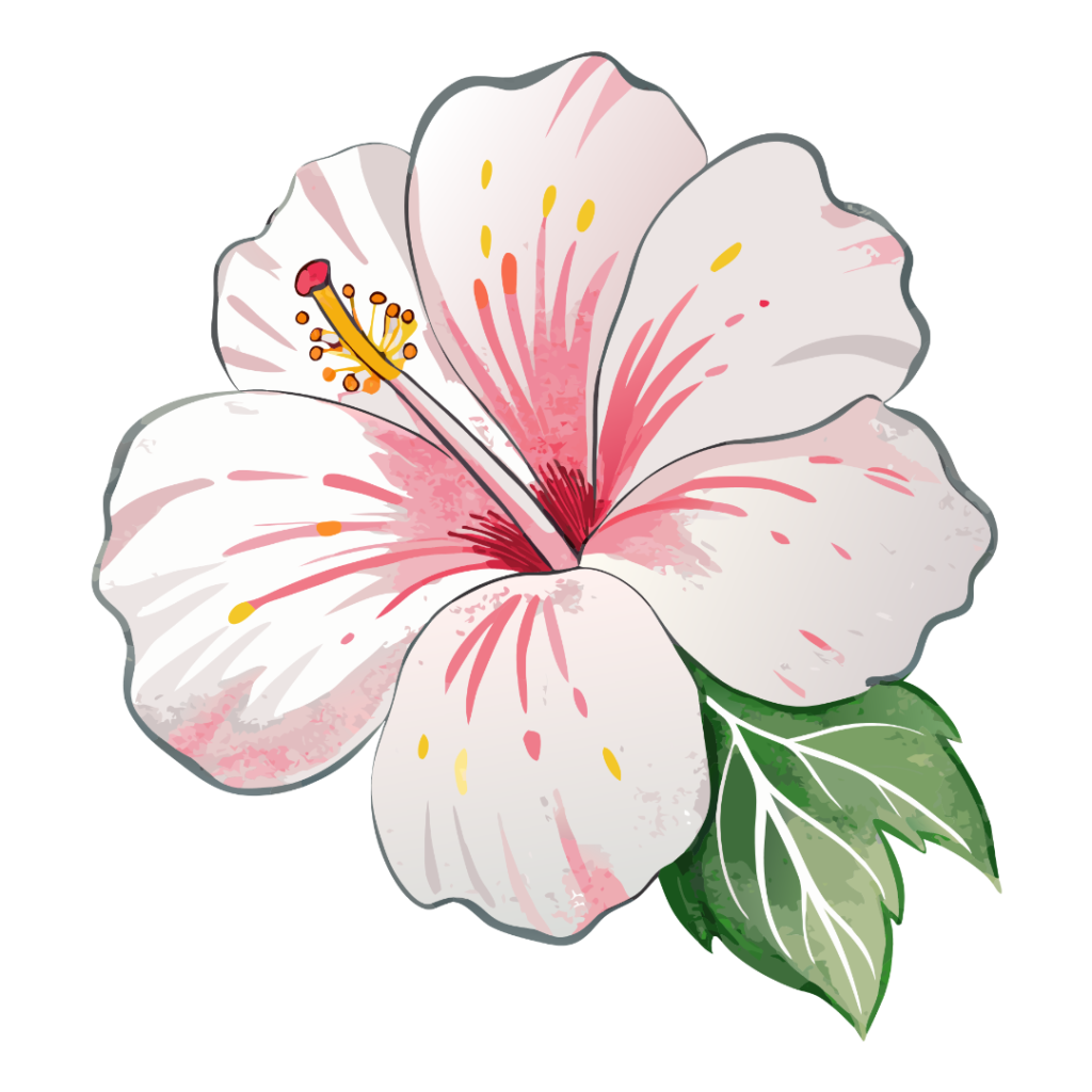 Hawaii Hibiscus Flower Outline | Free Png, Svg, Vector Hawaii Hibiscus Flower Outline | Free Png, Svg, Vector